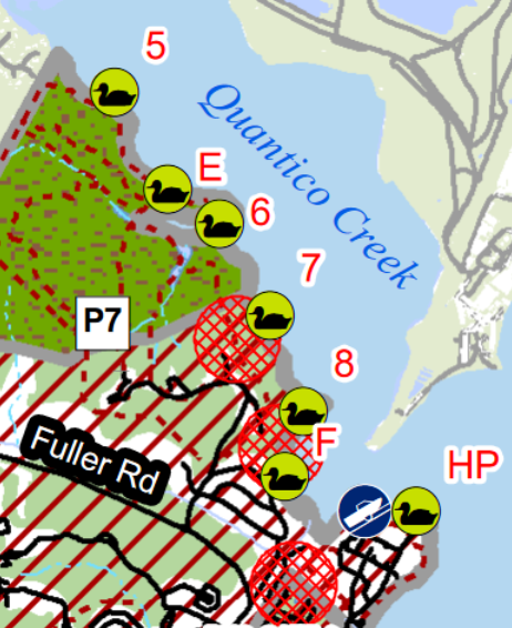 Waterfowl - Quantico Creek - Quantico - iSportsman