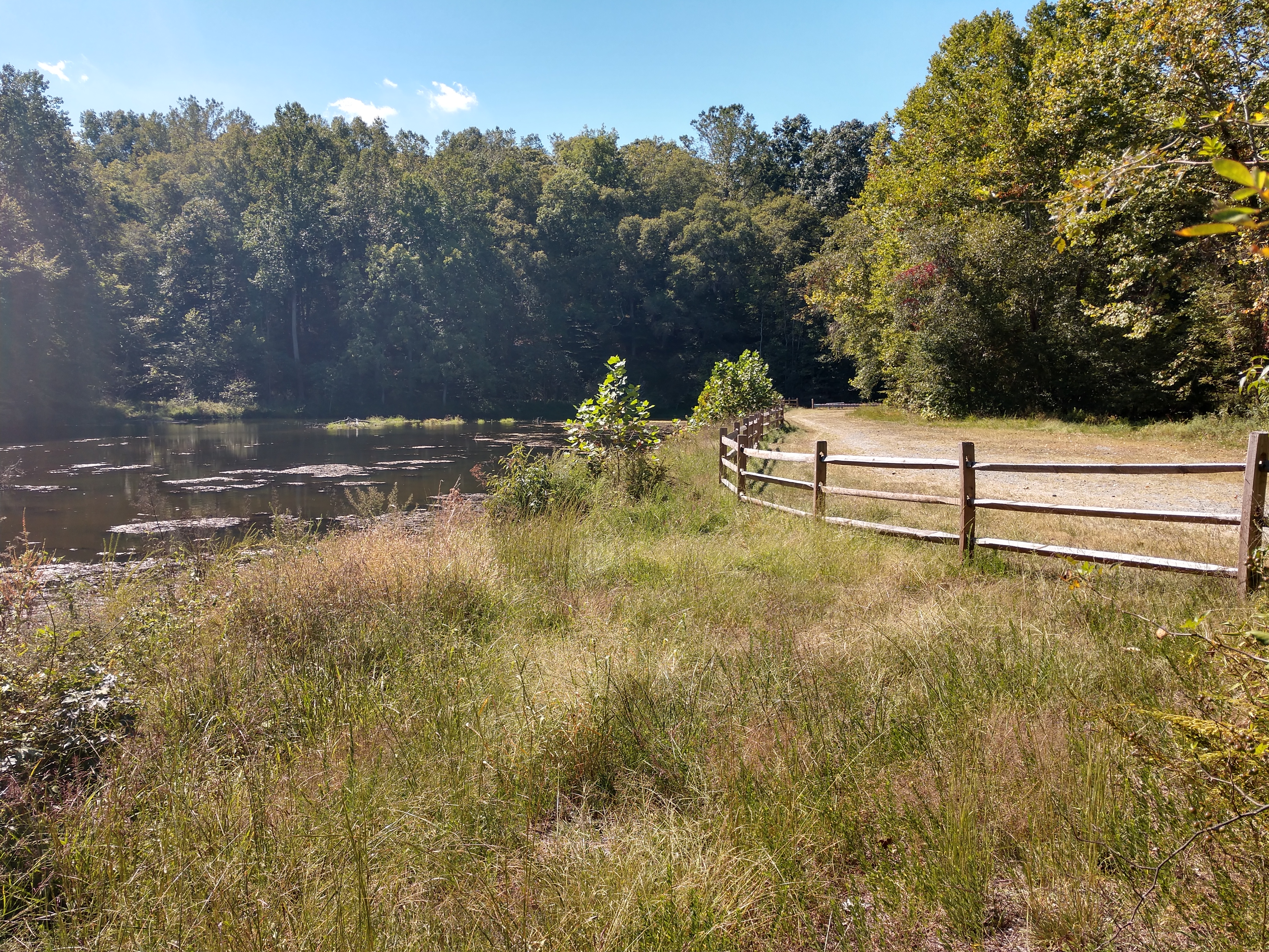 Fishing - Gray's Reservoir - Quantico - iSportsman